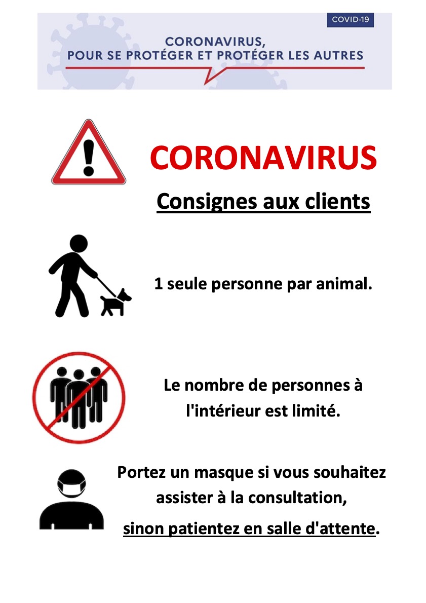 CONSIGNES CORONAVIRUS - Vétérinaire Sud Mayenne